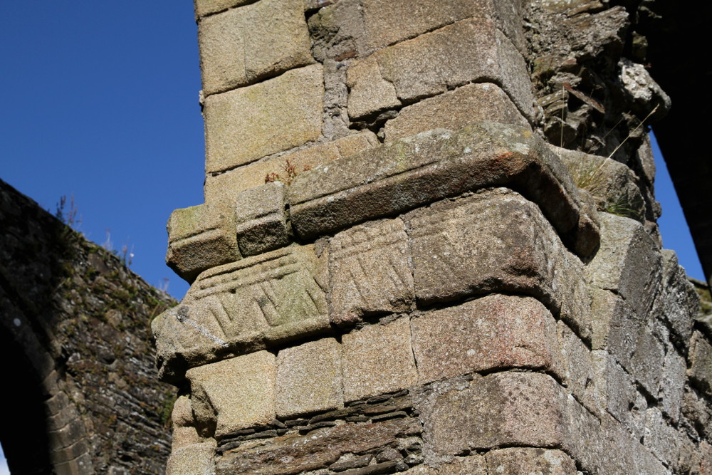 Baltinglass Abbey | ruins of Cistercian monastery | County Wicklow
