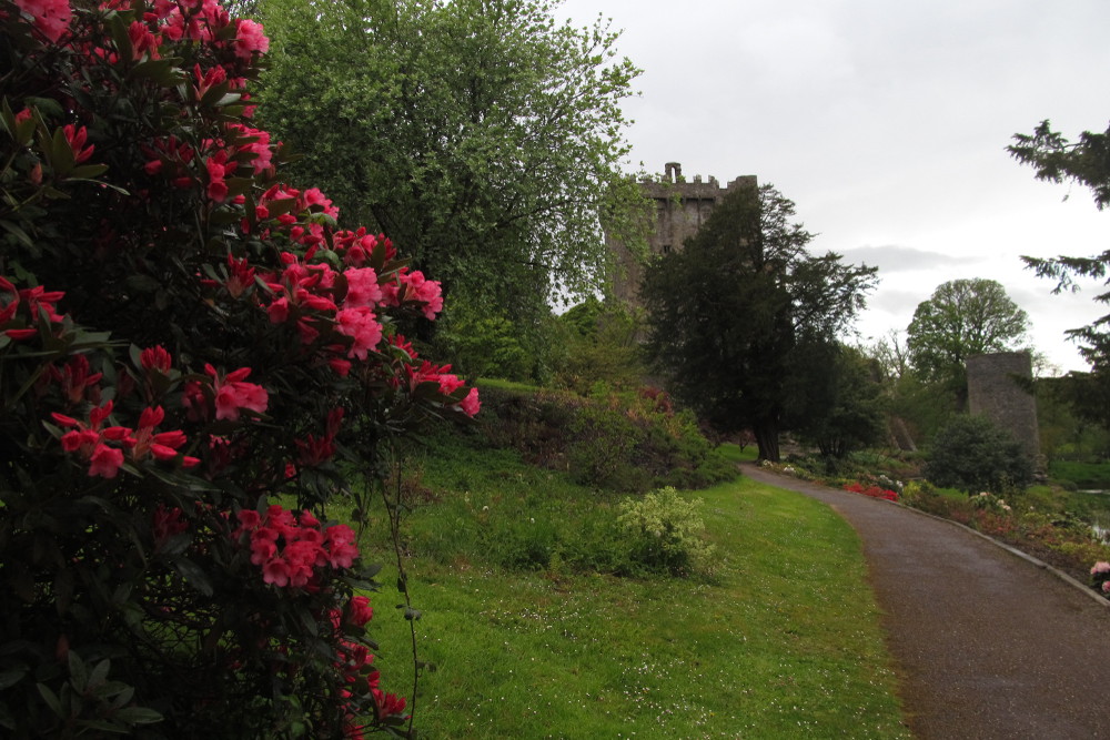 Blarney Castle | ticket prices and opening hours information | map