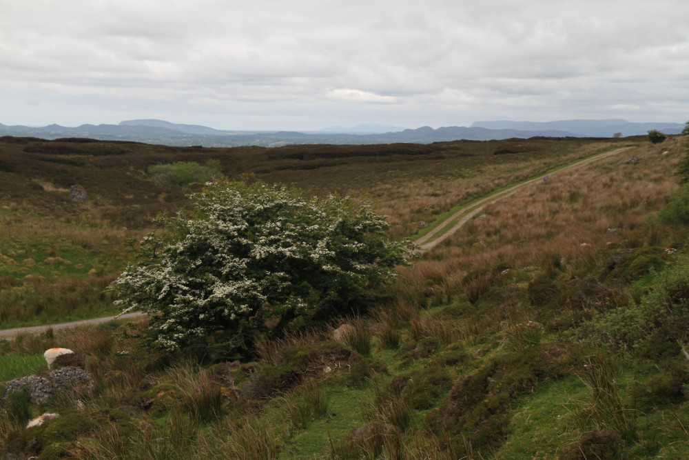 Carrowkeel Passage Tomb Cemetery | information | photos | map