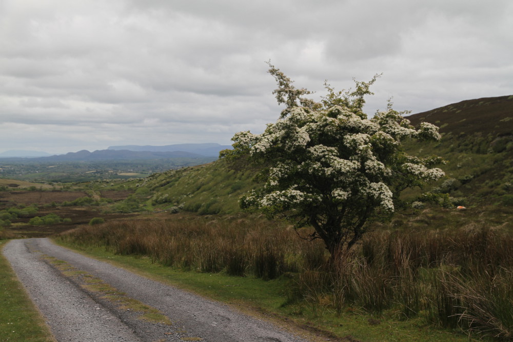 Carrowkeel Passage Tomb Cemetery | information | photos | map