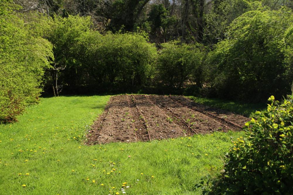 Muckross Traditional Farms | Open Air Museum | Killarney National Park ...