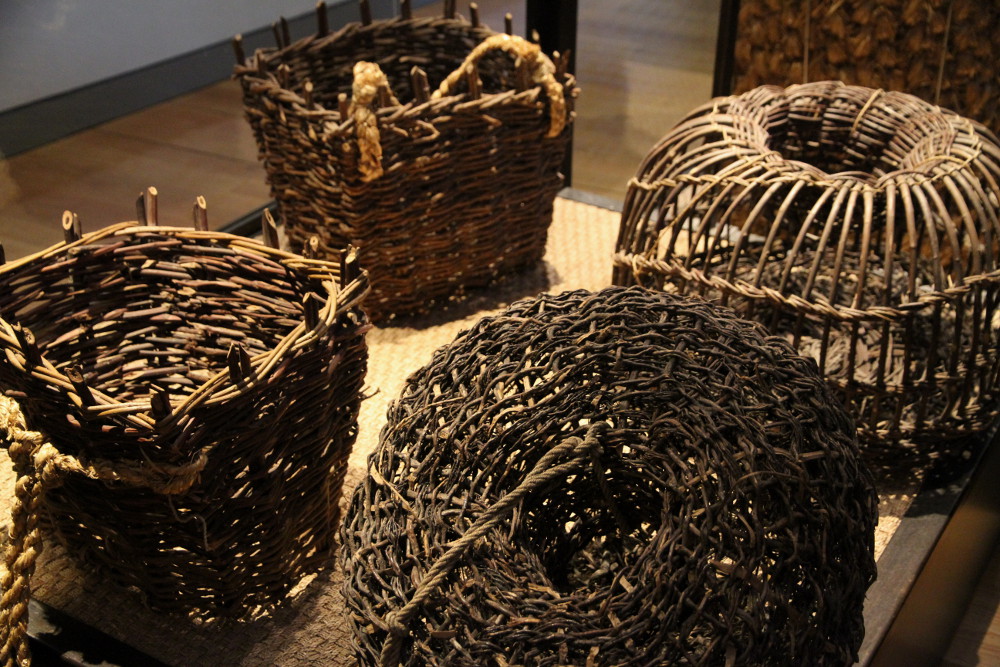 National Museum of Ireland - Country Life | ticket prices and opening ...