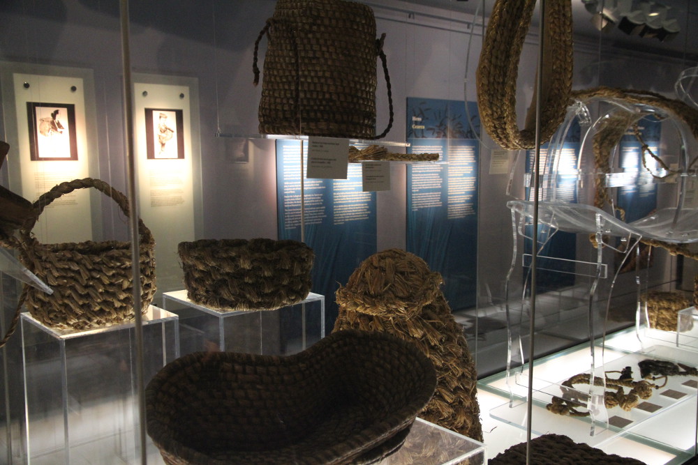 National Museum of Ireland - Country Life | ticket prices and opening ...