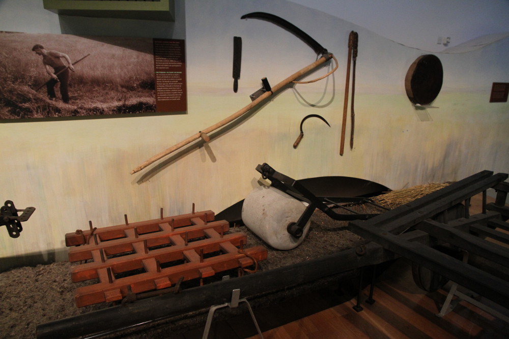 National Museum of Ireland - Country Life | ticket prices and opening ...