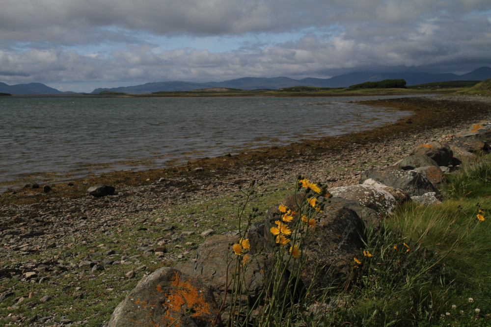 Direction Ireland :: Gallery of best photos