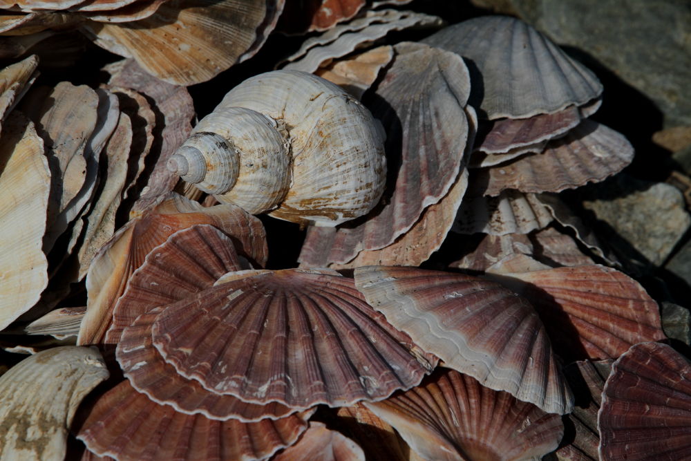 Direction Ireland :: Gallery of best photos